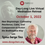Lama Surya Das
