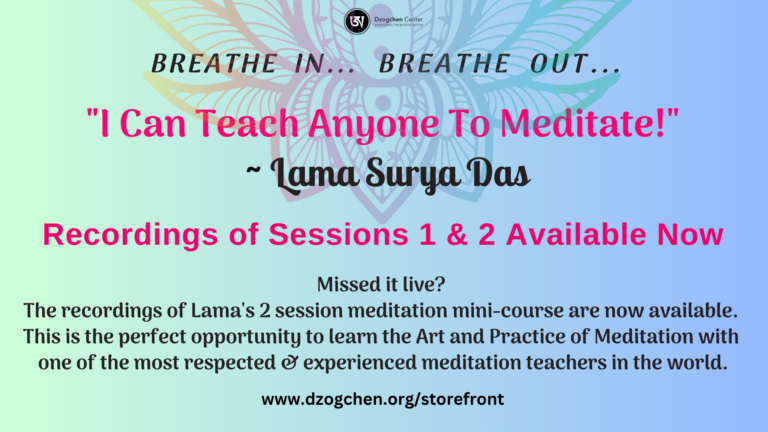 Lama Surya Das